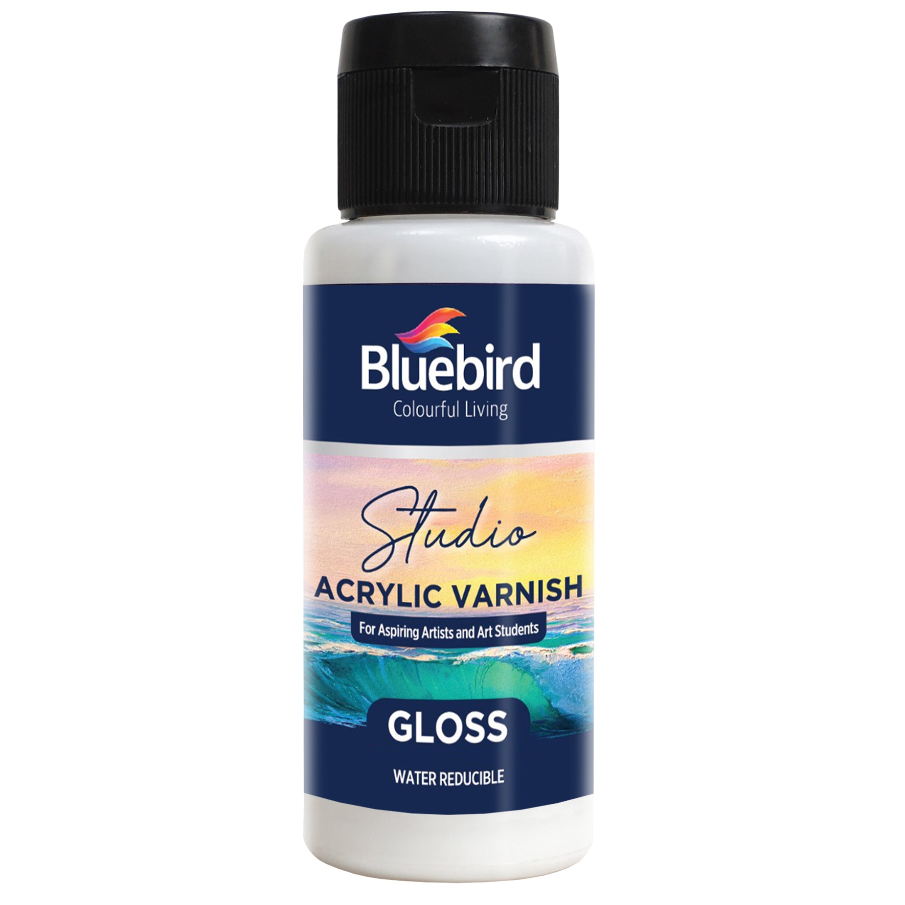 Buy Art Coatings & Varnish for Paintings | Bluebird Arts – Bluebird Arts PK