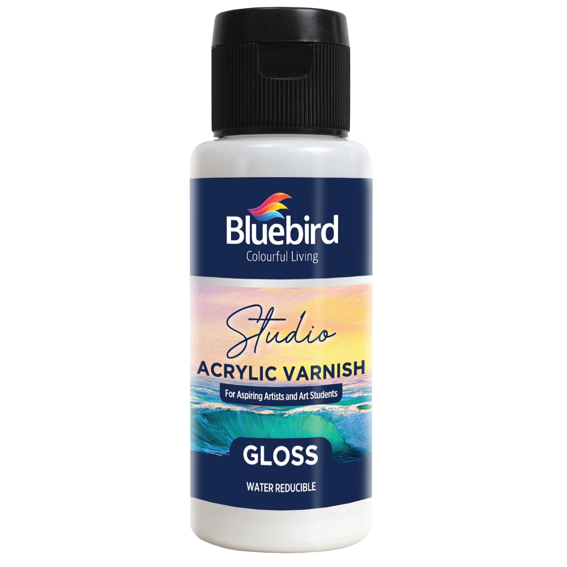 Buy Art Coatings & Varnish for Paintings | Bluebird Arts